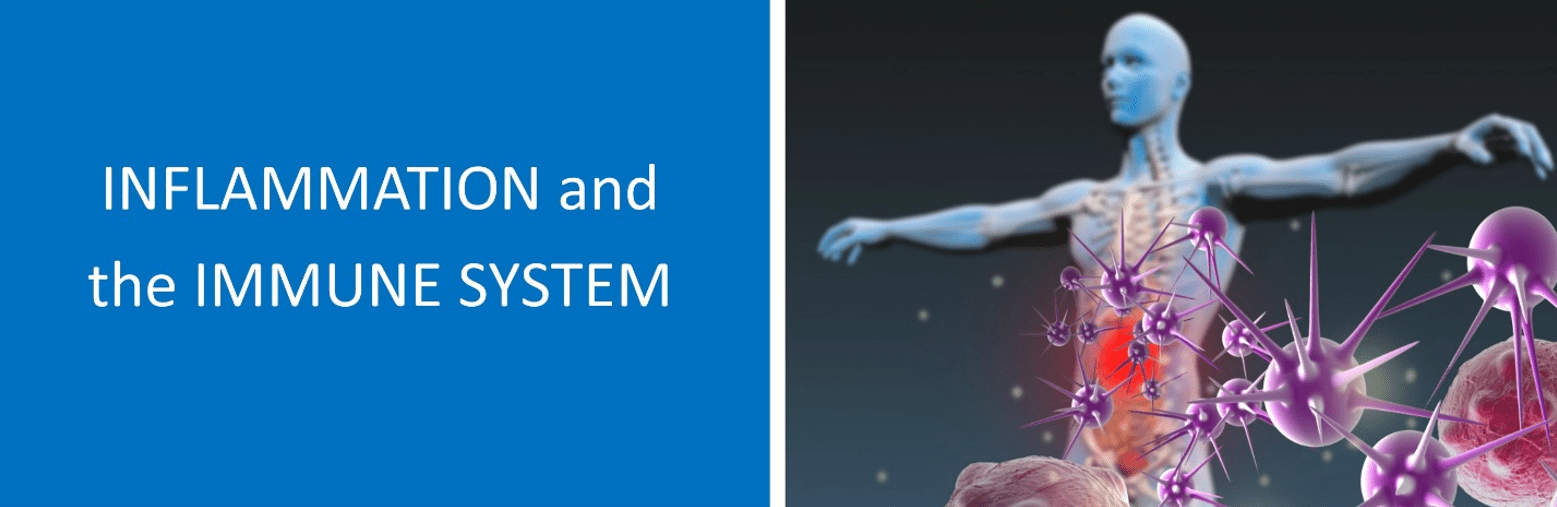 Inflammation and the Immune System | Skin M.D. and Beyond